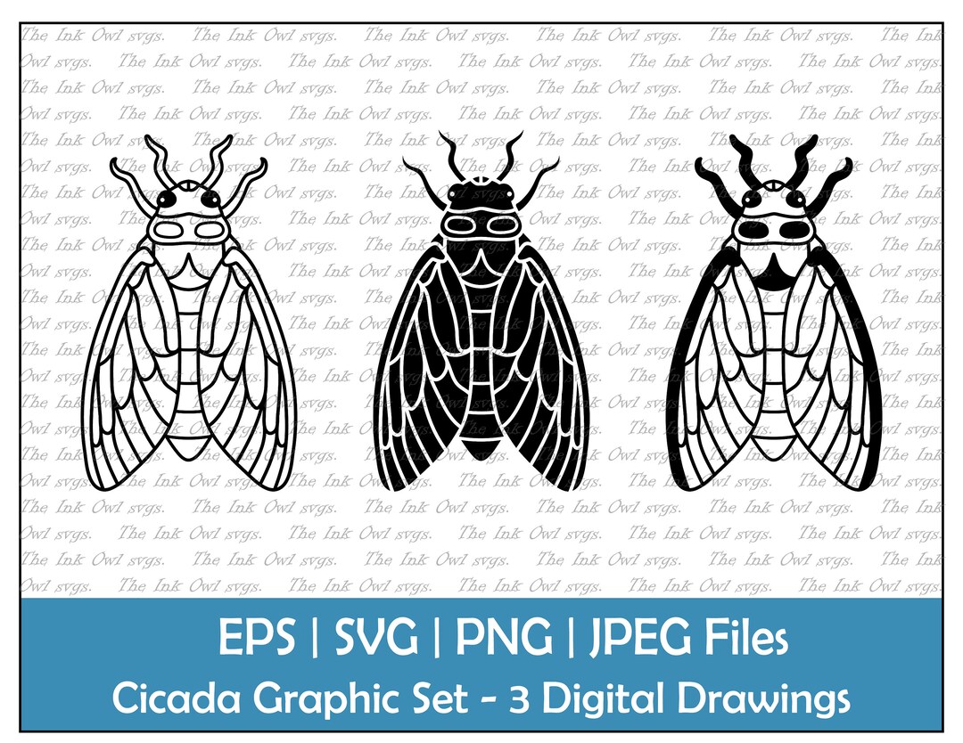 Cicada Insect Vector Clipart / Outline & Stamp Drawing Graphic / PNG ...