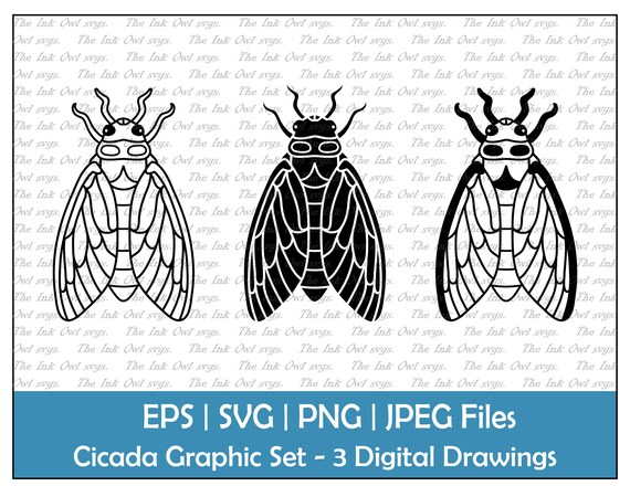 Cicada Insect Vector Clipart / Outline & Stamp Drawing Graphic - Etsy ...