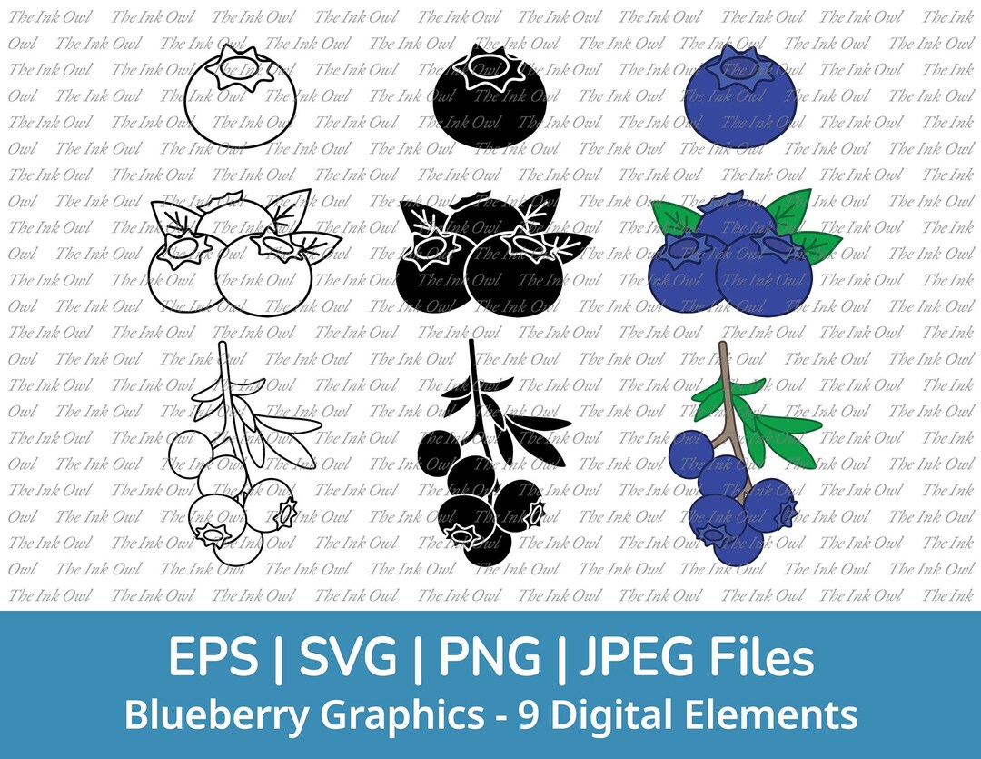 Blueberry Vector Clipart Set / Outline & Stamp Drawing Graphic / Fruit ...