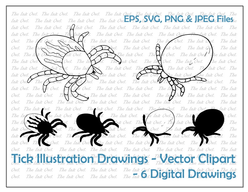 Tick Insect Vector Clipart / Outline & Stamp Drawing Illustrations ...