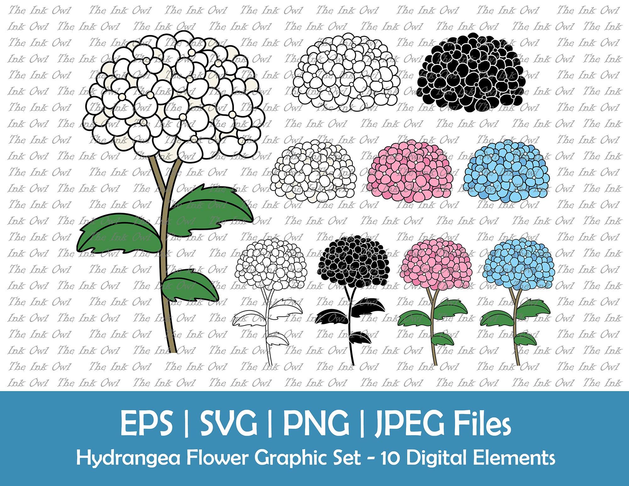 Hydrangea Flower Vector Clipart Set / Outline, Silhouette Stamp & Color ...