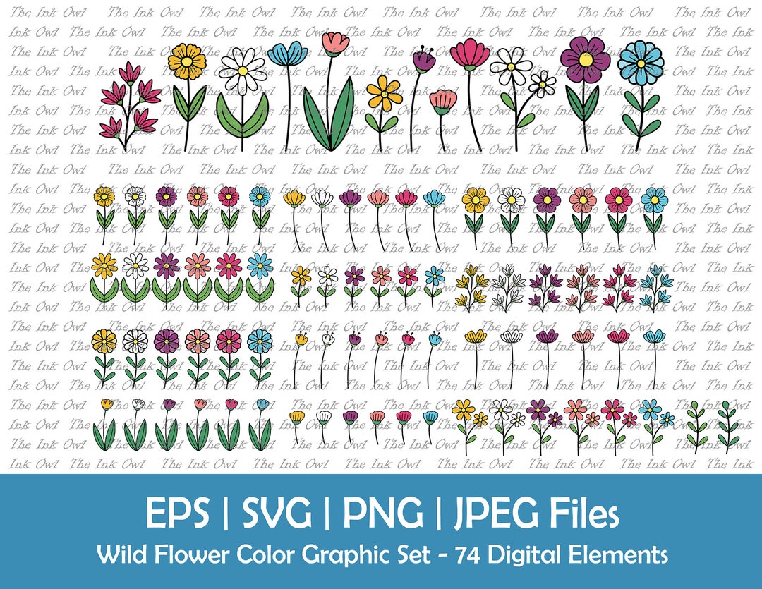 Wildflowers Vector Clipart Set / Color Illustration Graphics / Floral ...