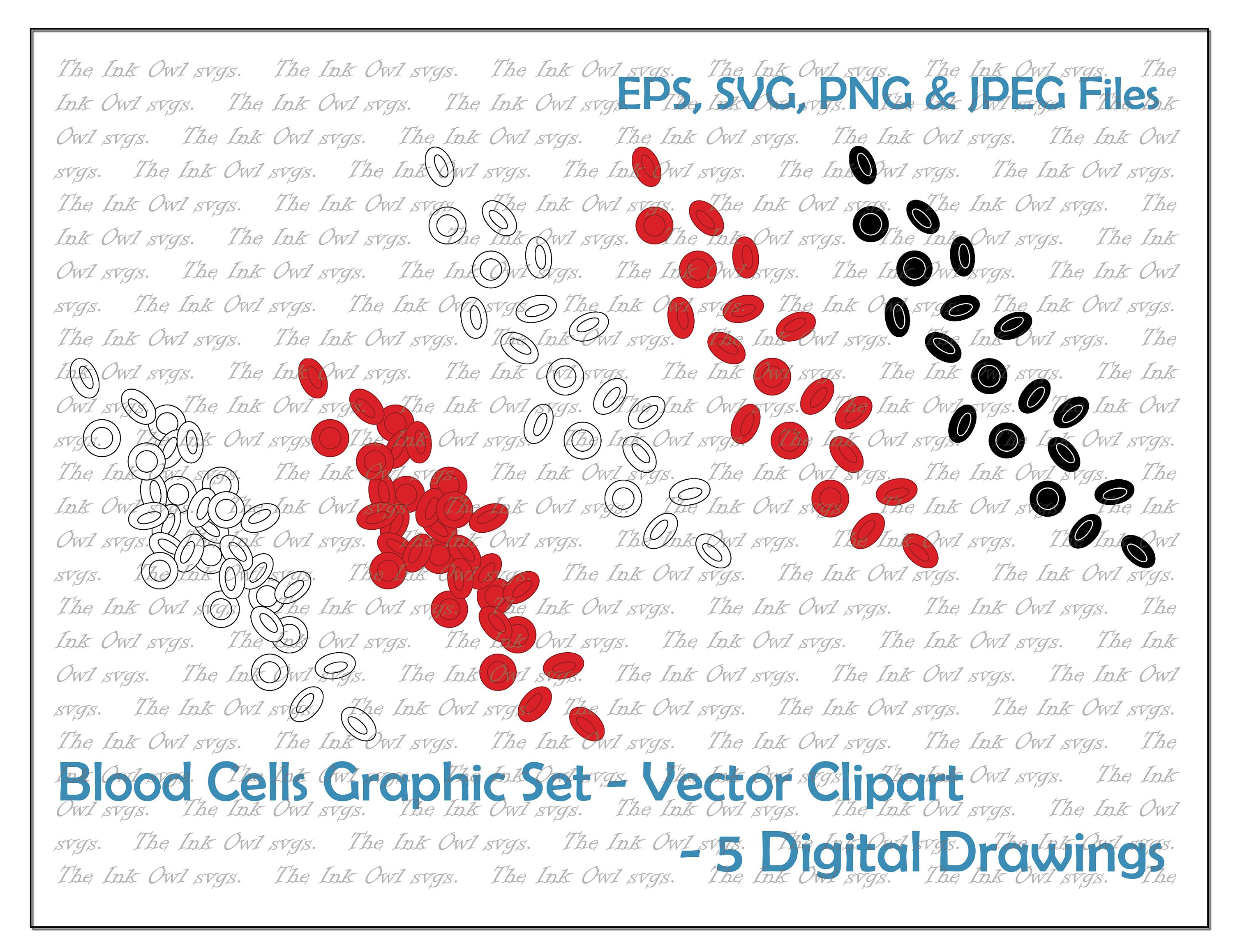 Blood Cells Diagram Vector Clipart Set 1 / Biology Outline & | Etsy Canada