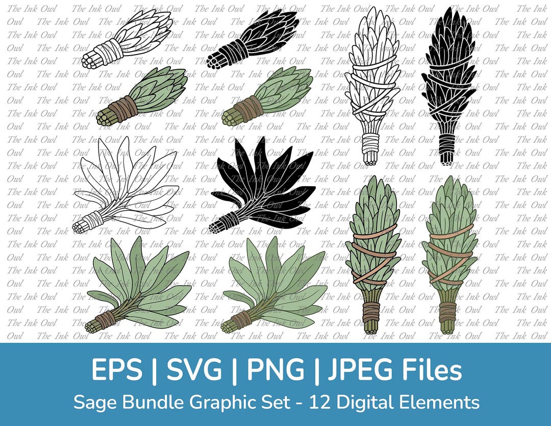 Bundle of Sage Leaves Vector Clipart / Botanical Herb / Smudge ...