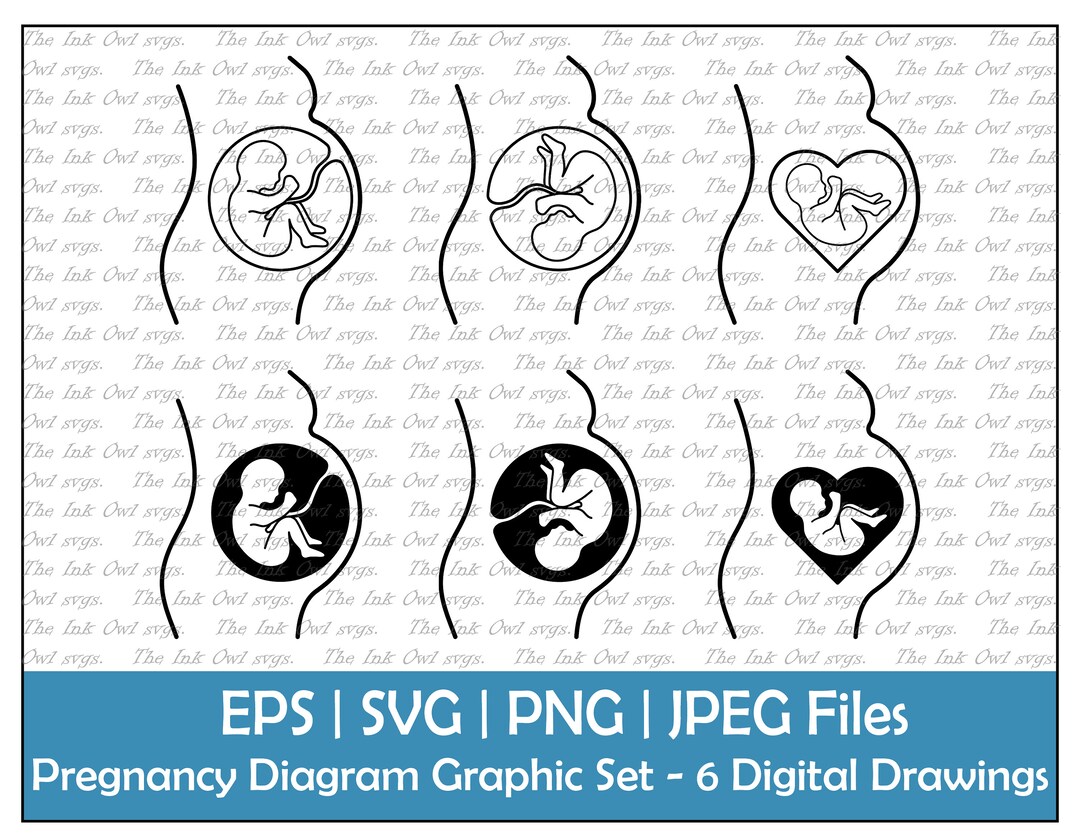 Pregnancy and Fertility Diagram Vector Clipart Set / Outline ...