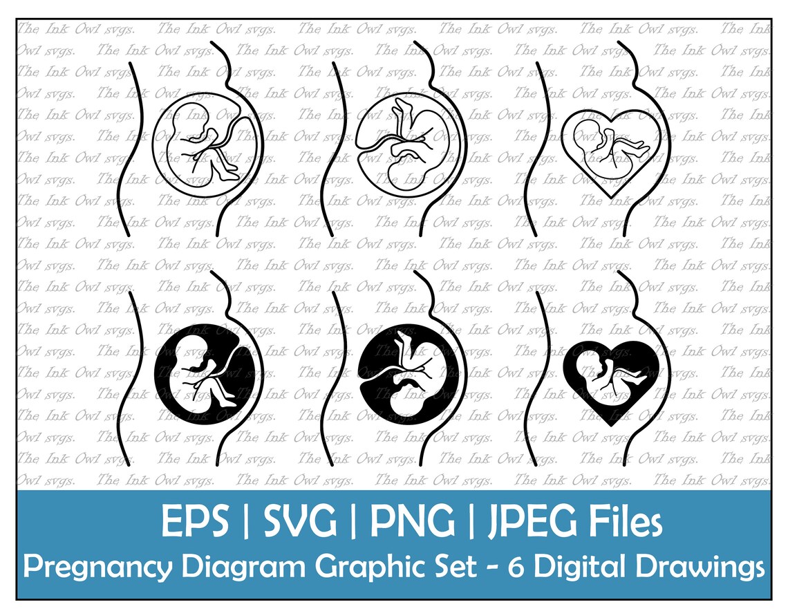 Pregnancy and Fertility Diagram Vector Clipart Set / Outline & - Etsy