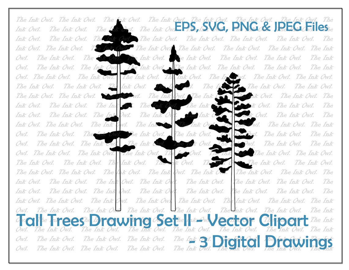 Tree Vector Clipart Set 3 / Forest Line Drawing / Fir Spruce - Etsy