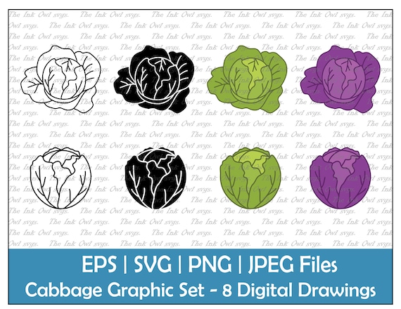 Cabbage Vector Clipart Set / Outline & Stamp Drawing | Etsy