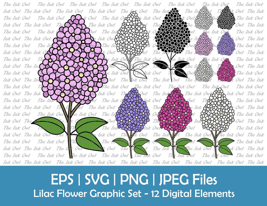 Lilac Flower Vector Clipart / Outline, Silhouette & Color Drawing ...