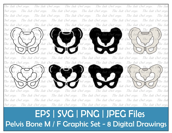 Pelvis Bone Male and Female Vector Clipart Set / Outline & | Etsy