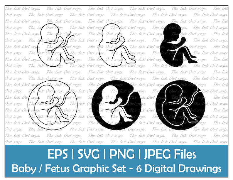 Baby Fetus With Umbilical Cord Vector Clipart Set / Outline ...