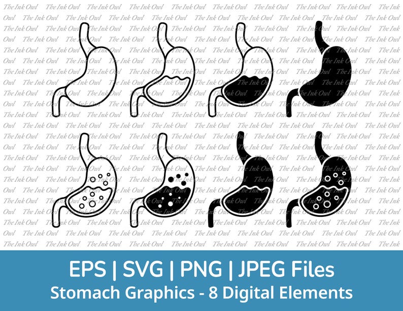 Stomach Svg Vector Clipart Set / Outline & Stamp Silhouette ...