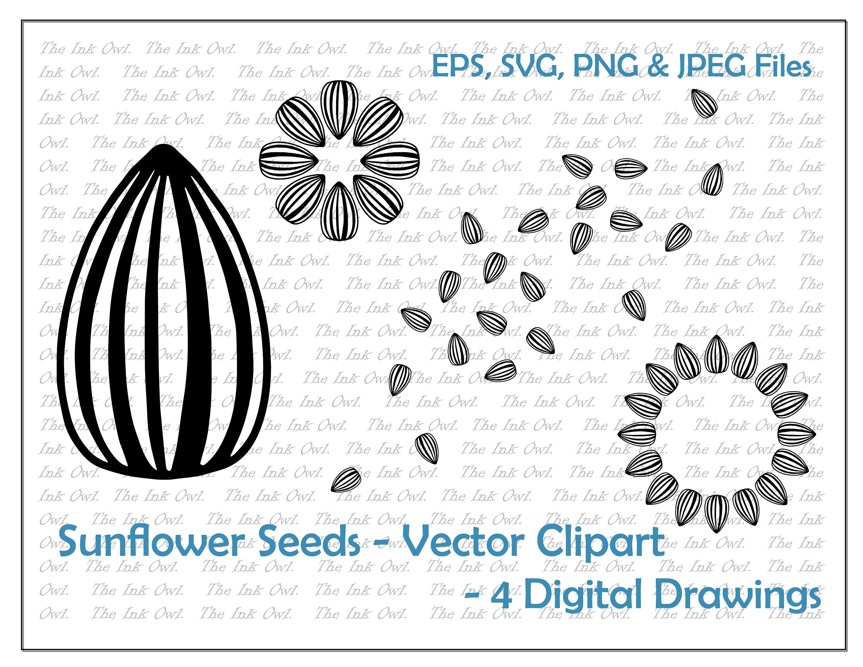 Sunflower Seed Graphics Vector Clipart Set / Outline Drawing - Etsy