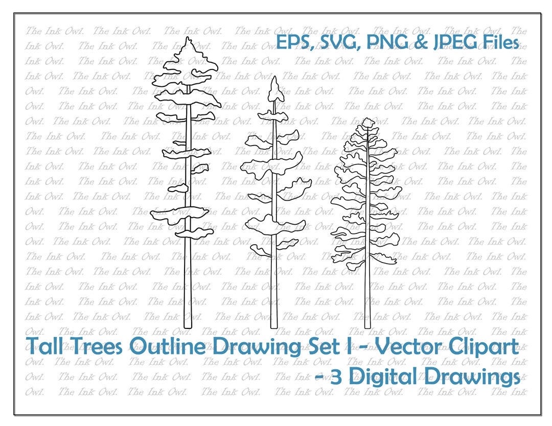 Tree Outlines Vector Clipart Set 1 / Forest Line Drawing Illustrations ...