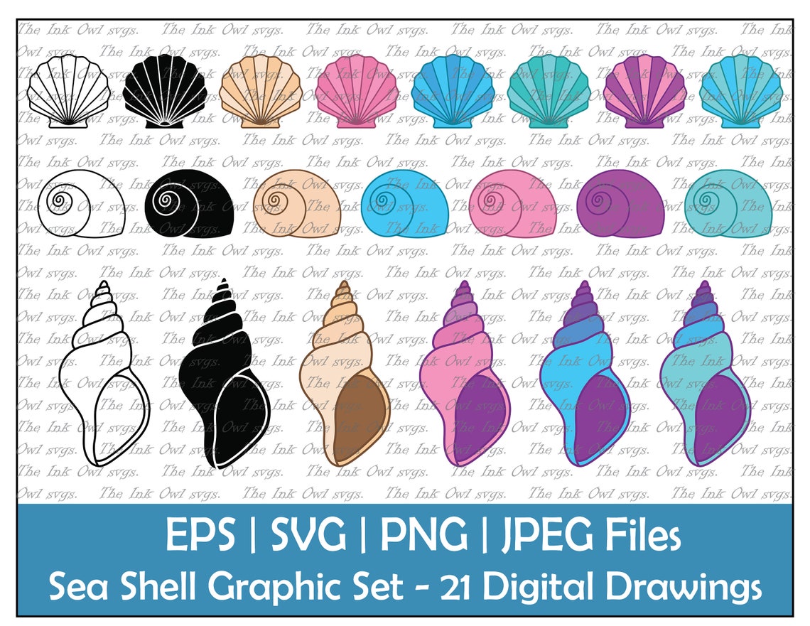 Sea Shell Vector Clipart Set / Outline Silhouette Stamp & - Etsy