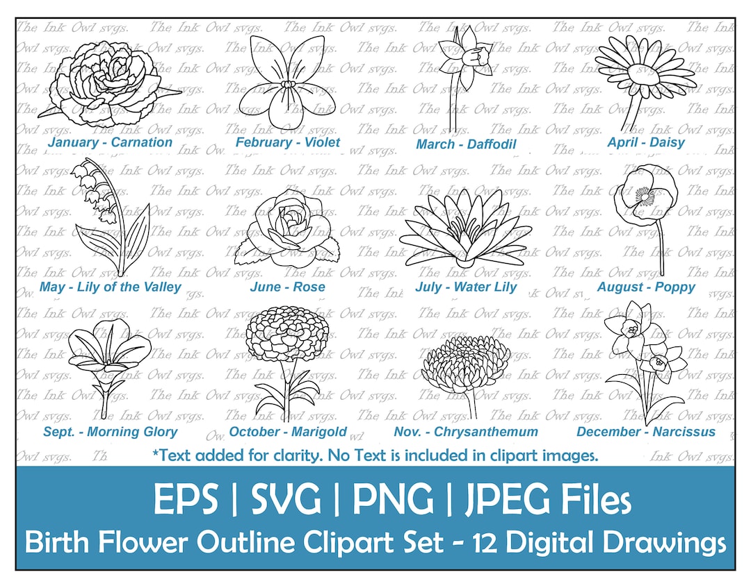 Birth Flower Vector Clipart Set / Outline Drawing Graphic / Rose, Lily ...