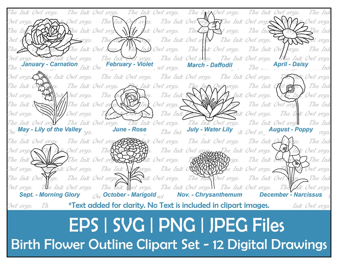 Birth Flower Vector Clipart Set / Outline Drawing Graphic / - Etsy