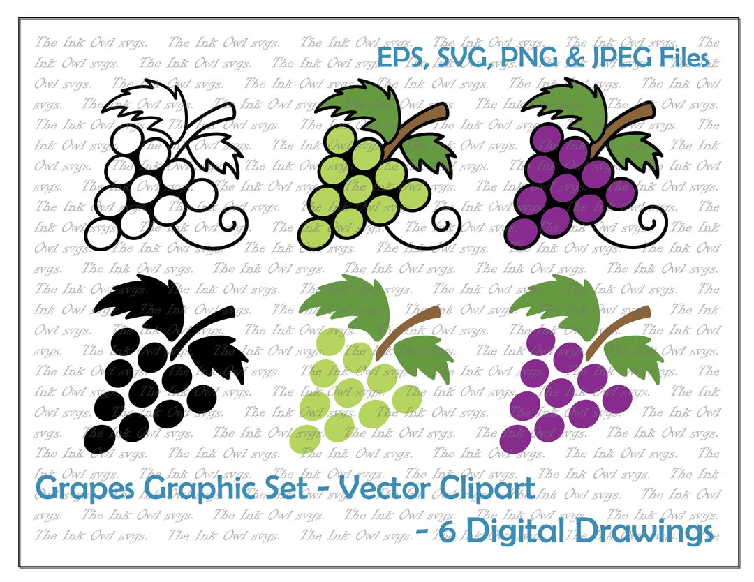 Grapes Vector Clipart / Outline & Stamp Drawing Graphic / Fruit Food / PNG, JPG, SVG, Eps - Etsy