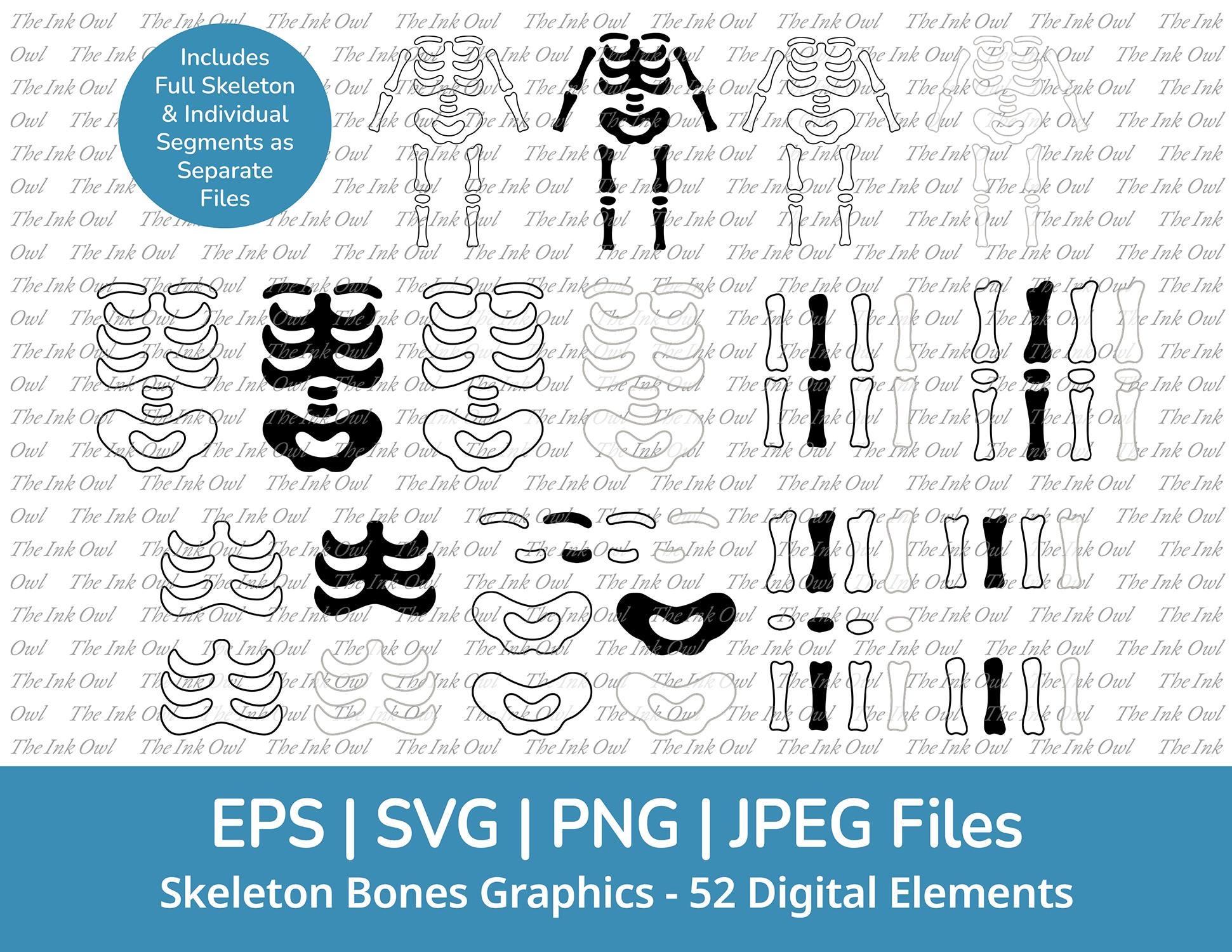 Skeleton Svg Template Clipart for Kids Halloween Costume / Outline ...