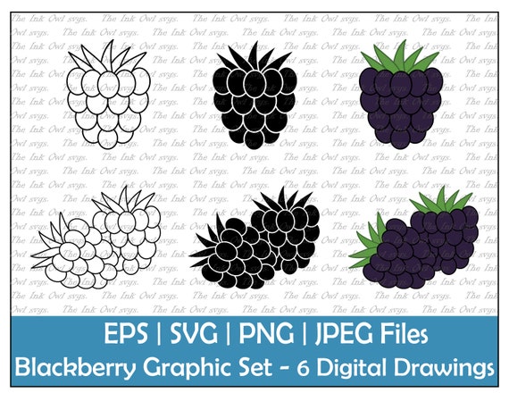 Blackberry Vector Clipart / Outline & Stamp Drawing | Etsy