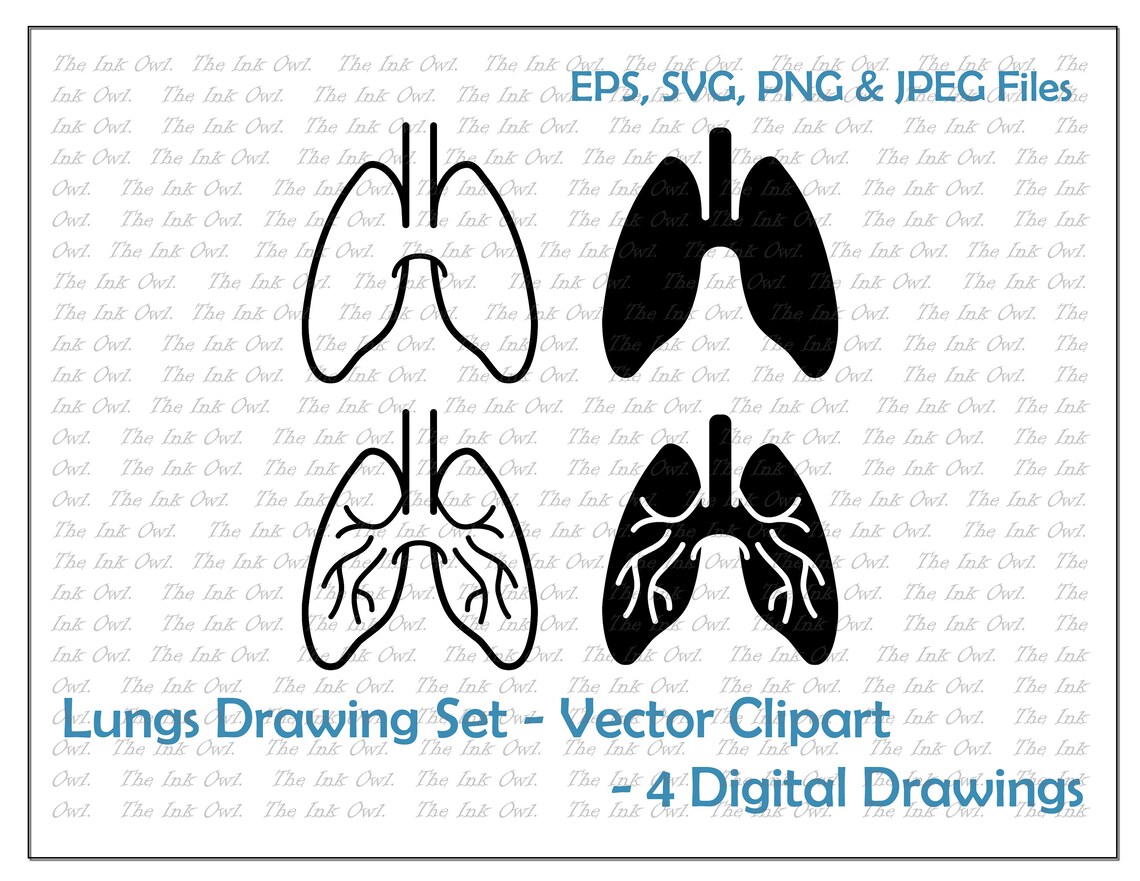 Lungs Vector Clipart Set / Outline & Stamp Drawing Illustrations / PNG ...