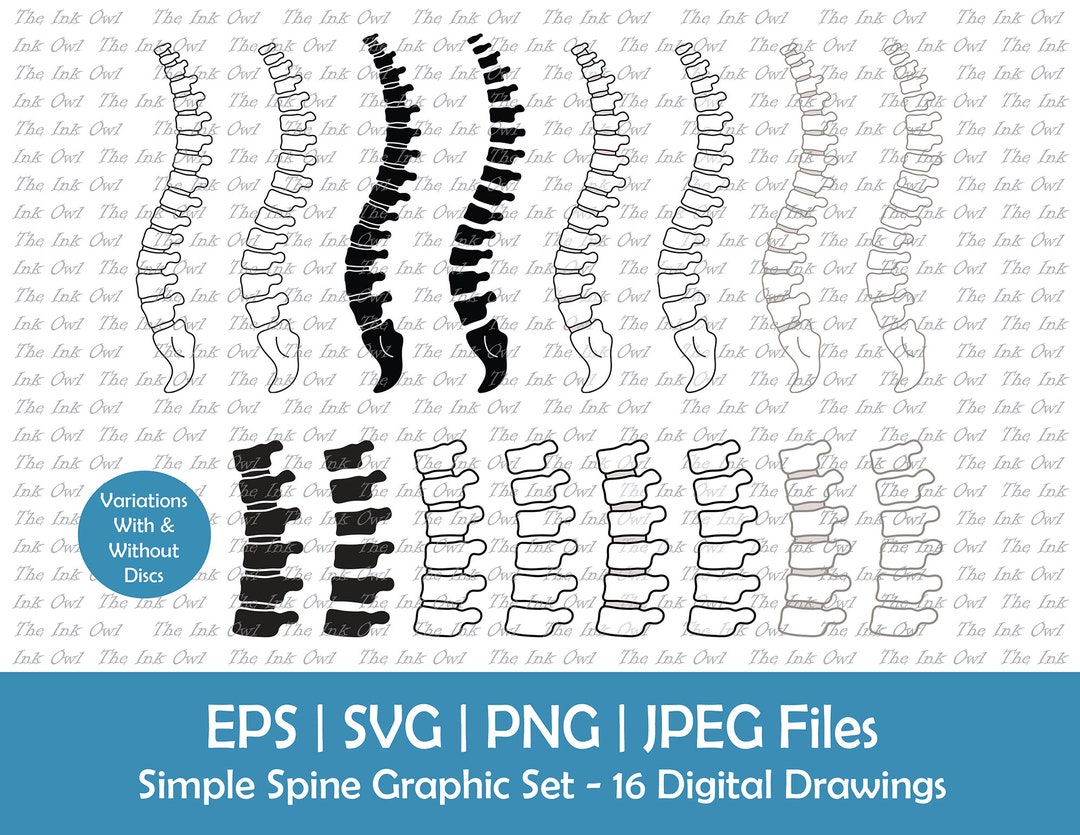 Simple Spine Vector Clipart Set / Outline, Silhouette & Color Drawing ...