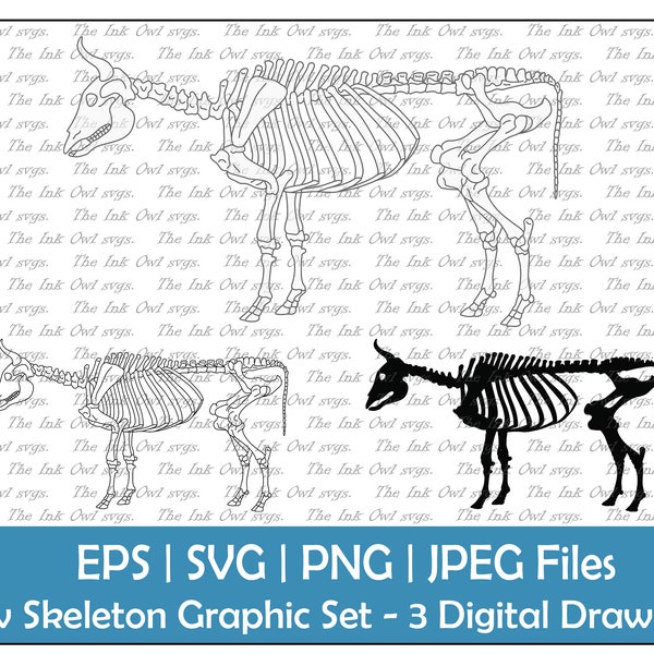 Bull Skeleton - Etsy