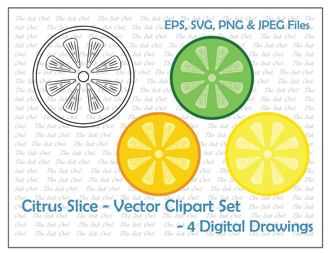 Citrus Slice Vektor Clipart / Outline, Zitrone, Limette, Orange Grafik ...