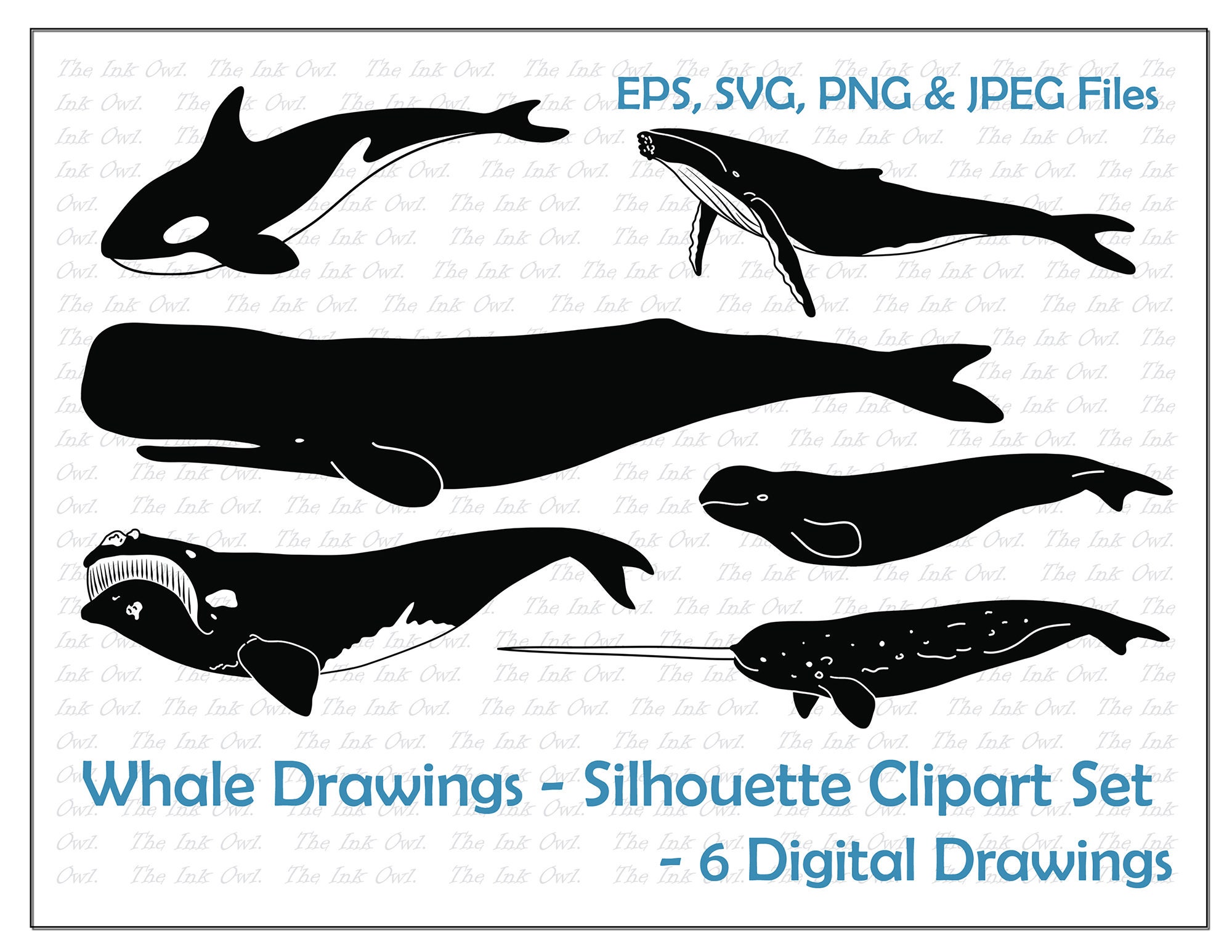 Potvis Vector Potvis Stock Illustratie. Illustration Of Walvissen,