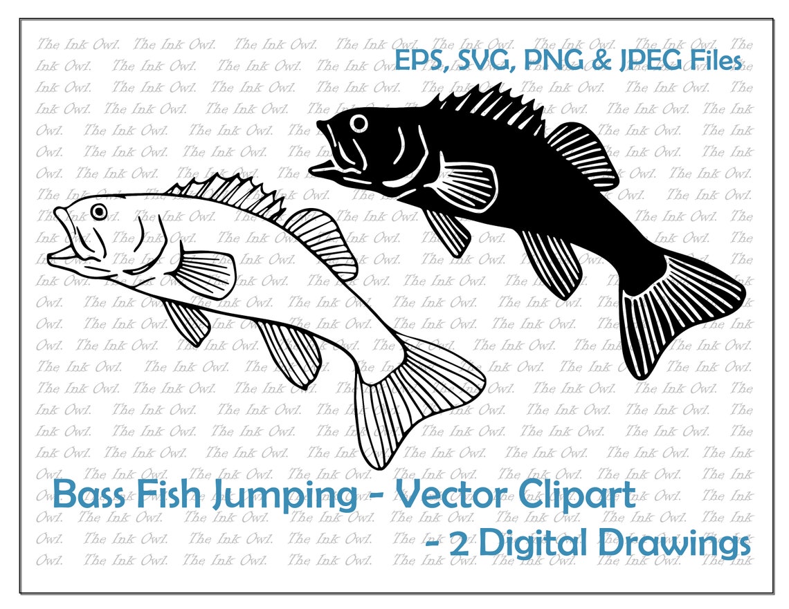 Jumping Bass Fish Vector Clipart / Outline & Stamp Graphic / - Etsy
