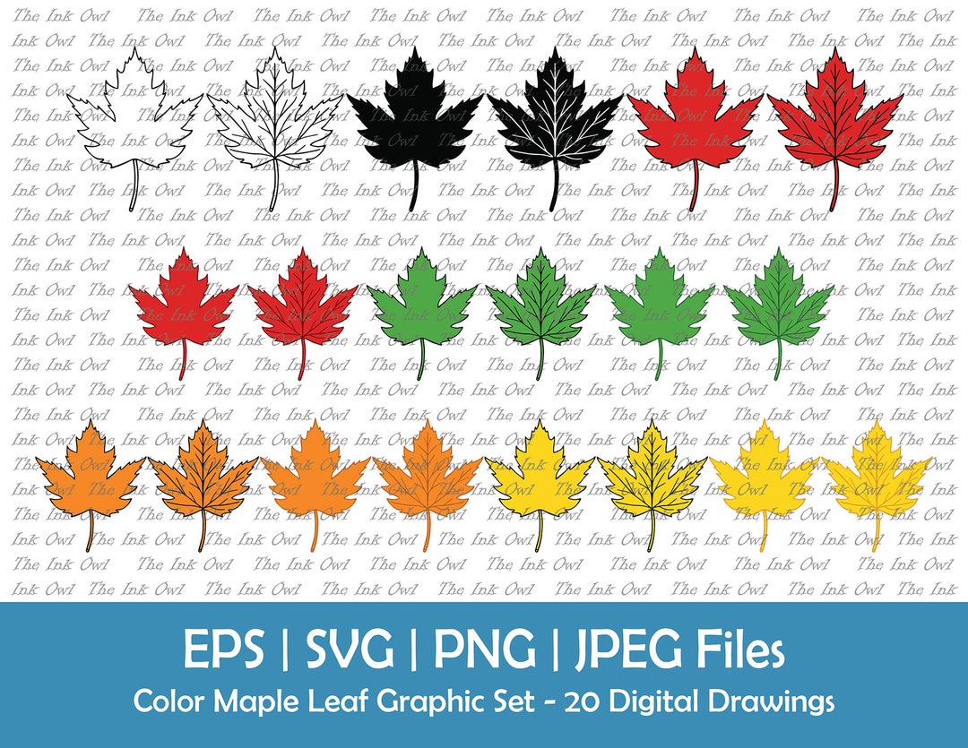 Color Maple Leaf Vector Clipart Set / Outline, Silhouette Stamp & Color ...
