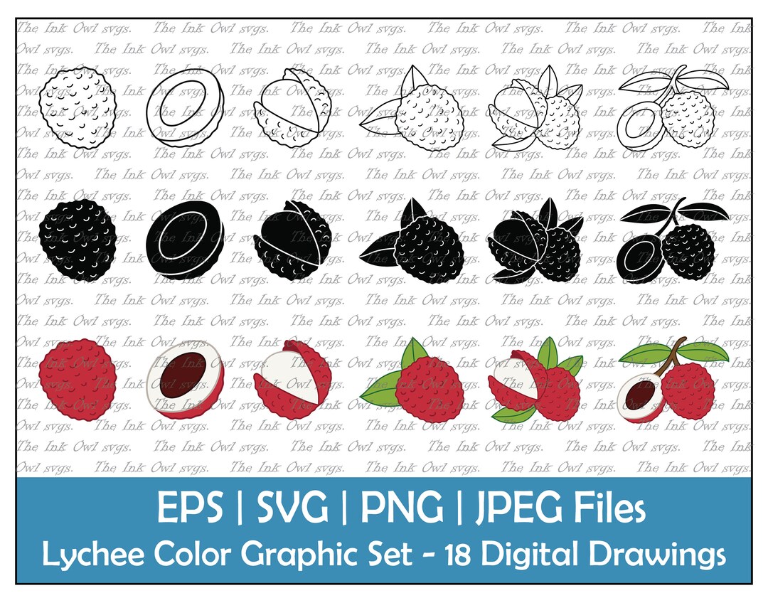 Lychee Fruit Vector Clipart Set / Outline, Silhouette Stamp & Color ...