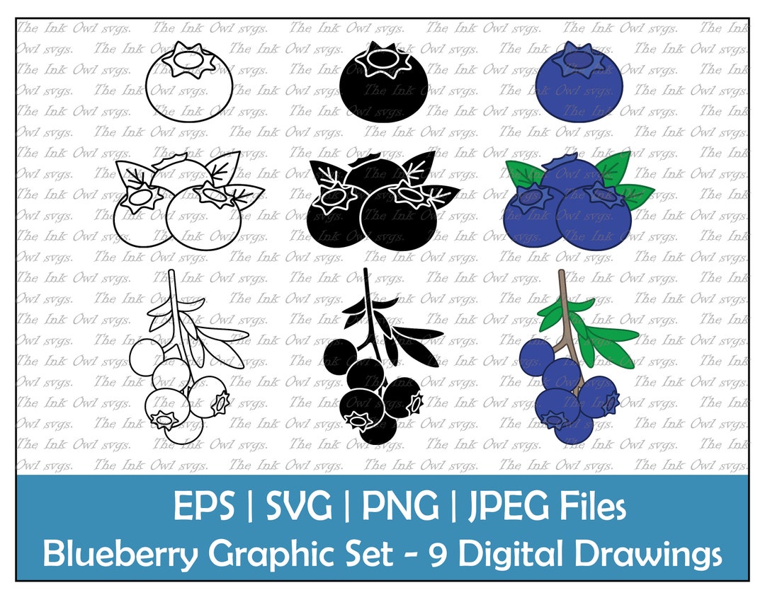 Blueberry Vector Clipart Set / Outline & Stamp Drawing Graphic / Fruit ...