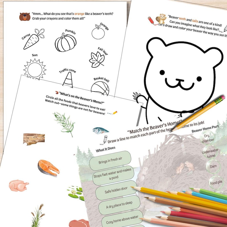 Beaver Morning Basket Printable: Nature STEM Activities , Flash Card ...