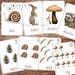 Woodland Animals Printable Pack: Forest Nature Study, Ages 3-5 (digital ...