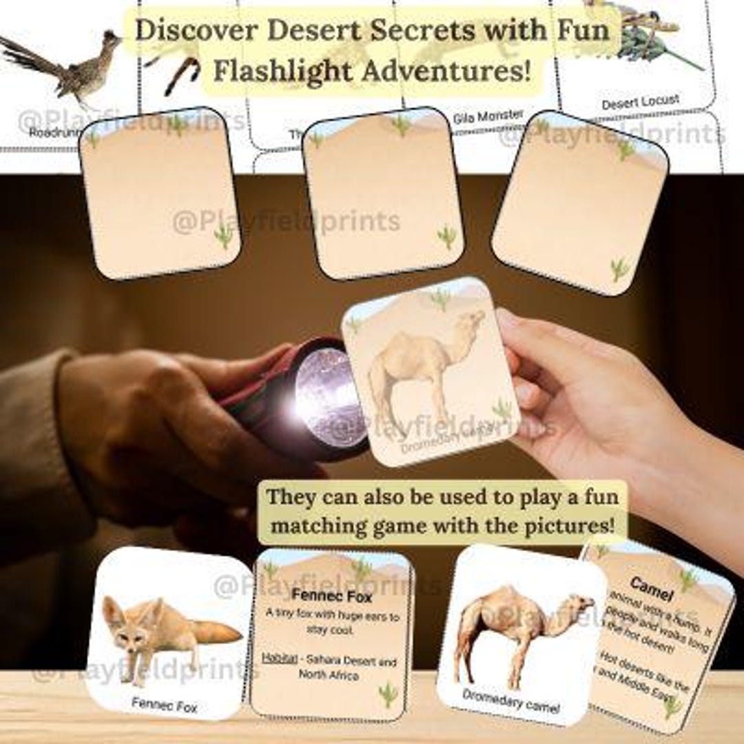 Desert Animals Flashlight Game: Printable STEM Activity, Magical Hidden ...