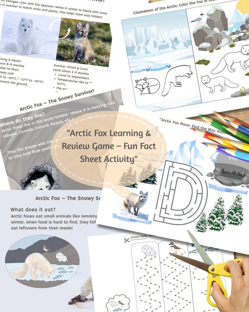 Arctic Fox Morning Basket - Fun Printable Activities for Kids Preschool ...