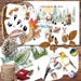 Woodland Animals Printable Pack: Forest Nature Study, Ages 3-5 (digital ...