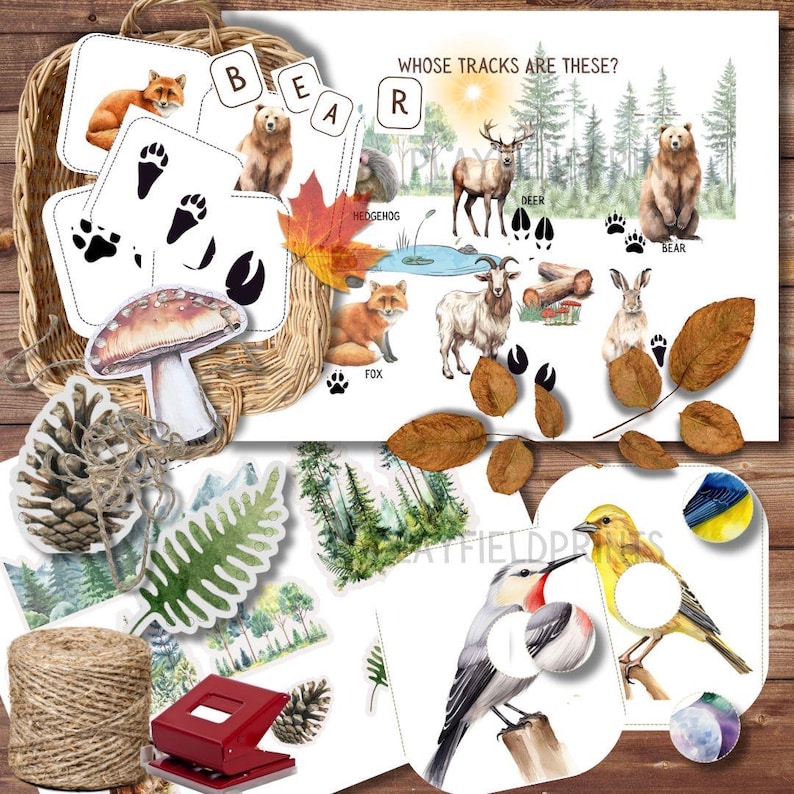 Woodland Animals Printable Pack: Forest Nature Study, Ages 3-5 (digital ...
