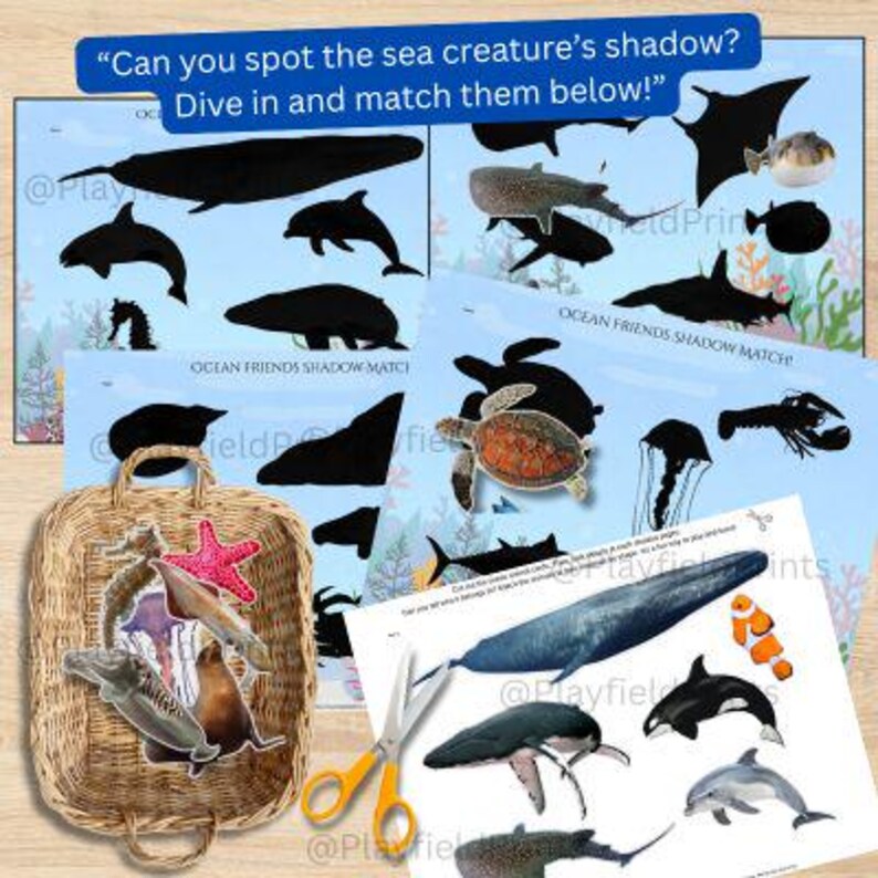 Ocean Animal Matching Games Printable Preschool Activities PDF ...