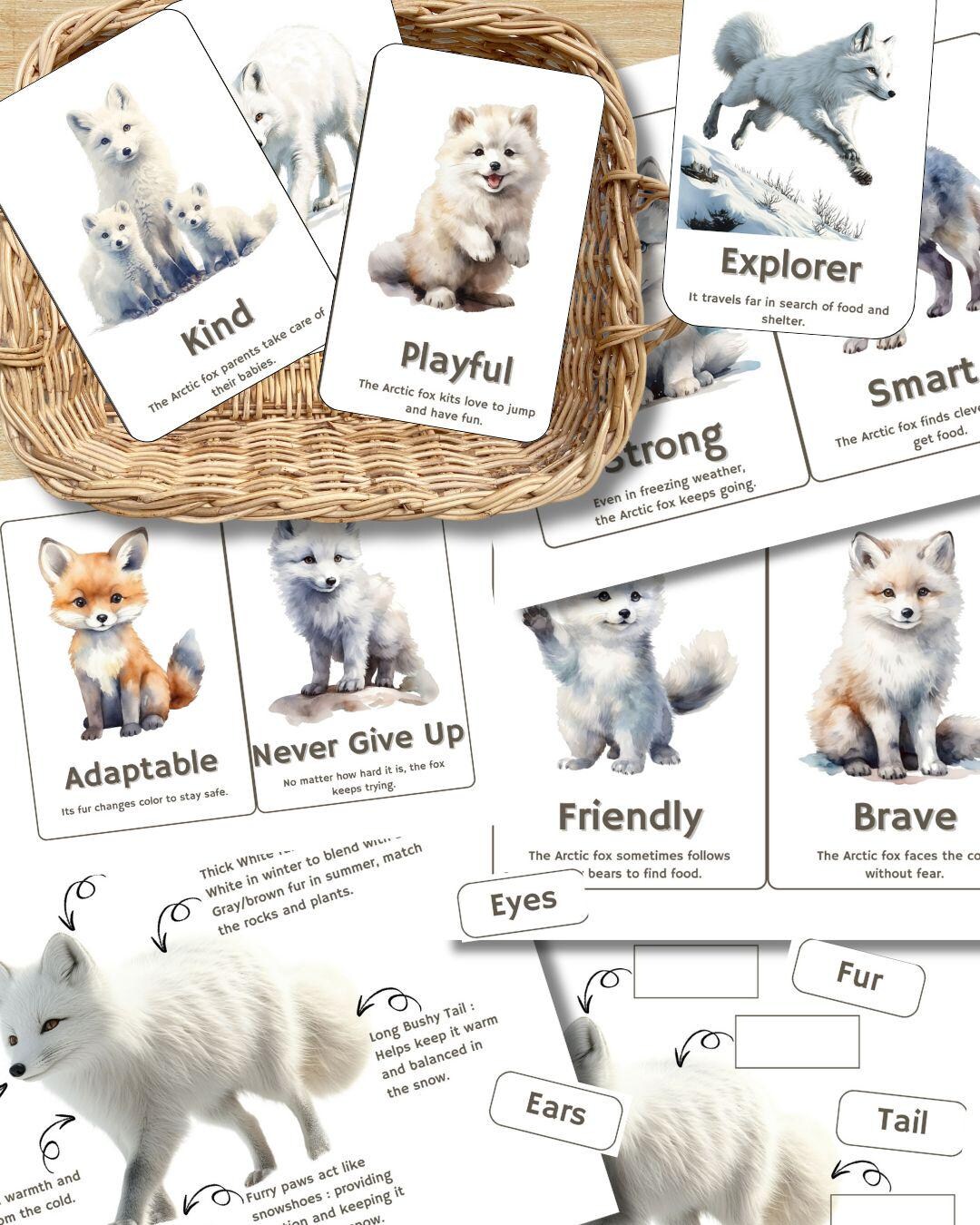 Arctic Fox Morning Basket - Fun Printable Activities for Kids Preschool ...