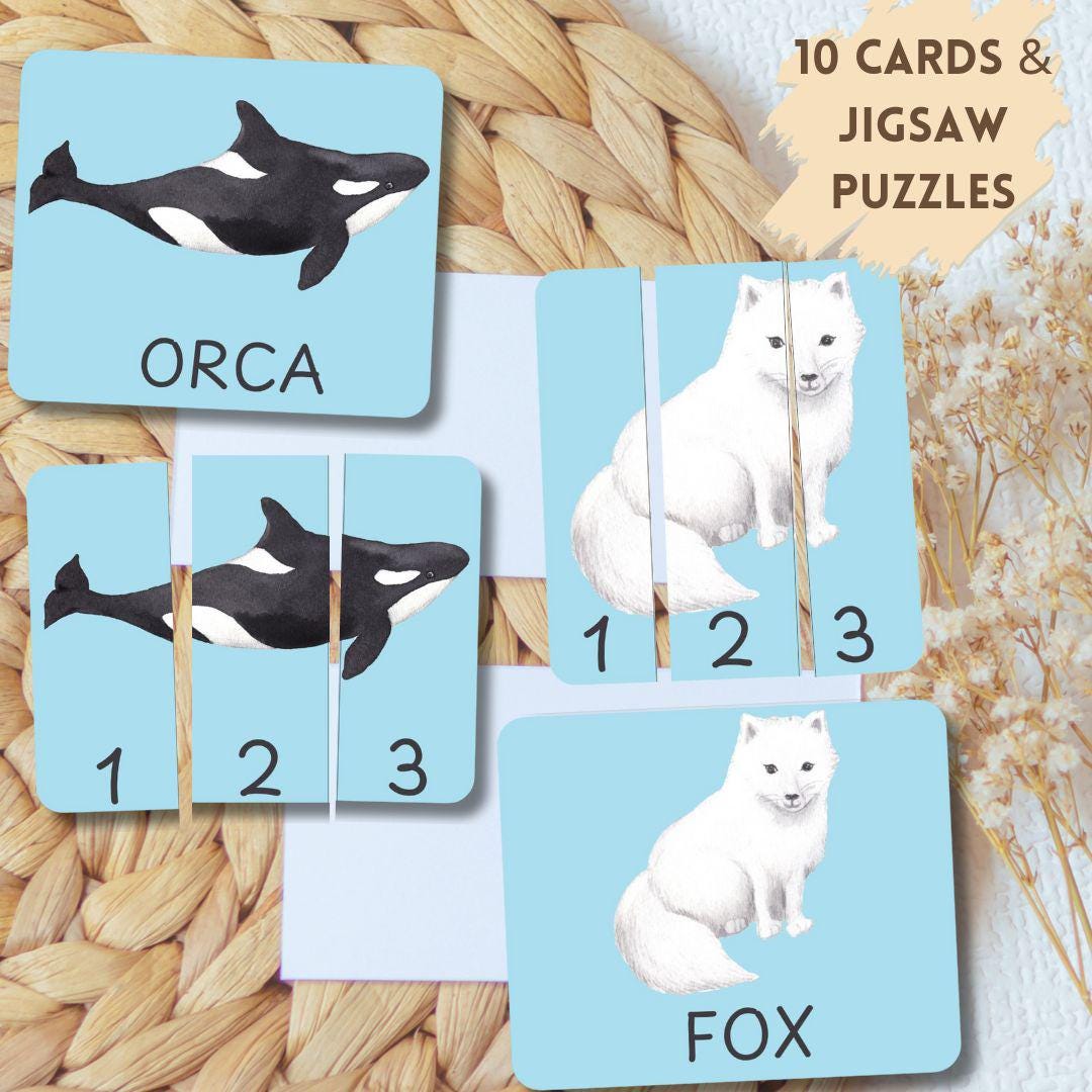 4 in 1 Arctic Animals Bundle Motessorri, Puzzle & Flashcards, Shadow ...