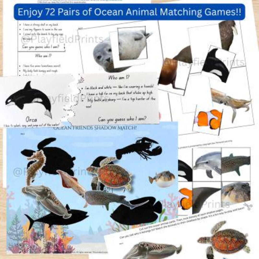 Ocean Animal Matching Game: Montessori STEM Activity, Flash Card ...
