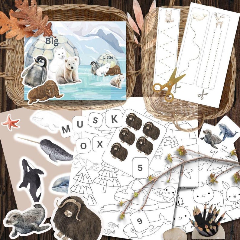 Morning Basket Arctic Theme for Kids Learining Activities, Homeschool ...