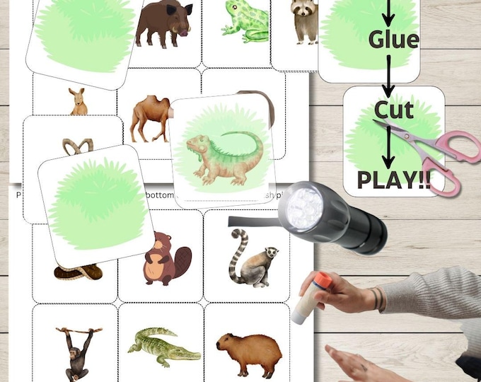 Fun Flashlight Game for Kids | Printable Peek-a-boo Bags Activity ...
