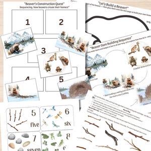 Beaver Nature Study Printable, Homeschool Montessori Science Flashcards ...