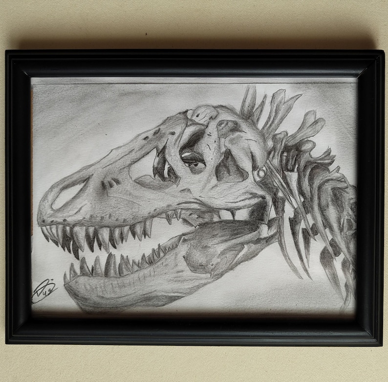 Pencil Drawing, Dinosaur Skull, Framed Art, Fossil, Realistic ...