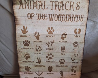11" X 17" Animal Tracks Field Guide Poster - Etsy