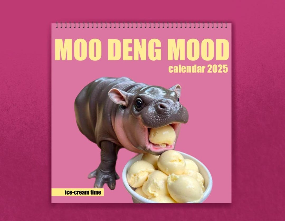 Moo Deng Calendar 2025, Moo Deng Mood, Baby Hippo, Pygmy Hippo Moodeng ...