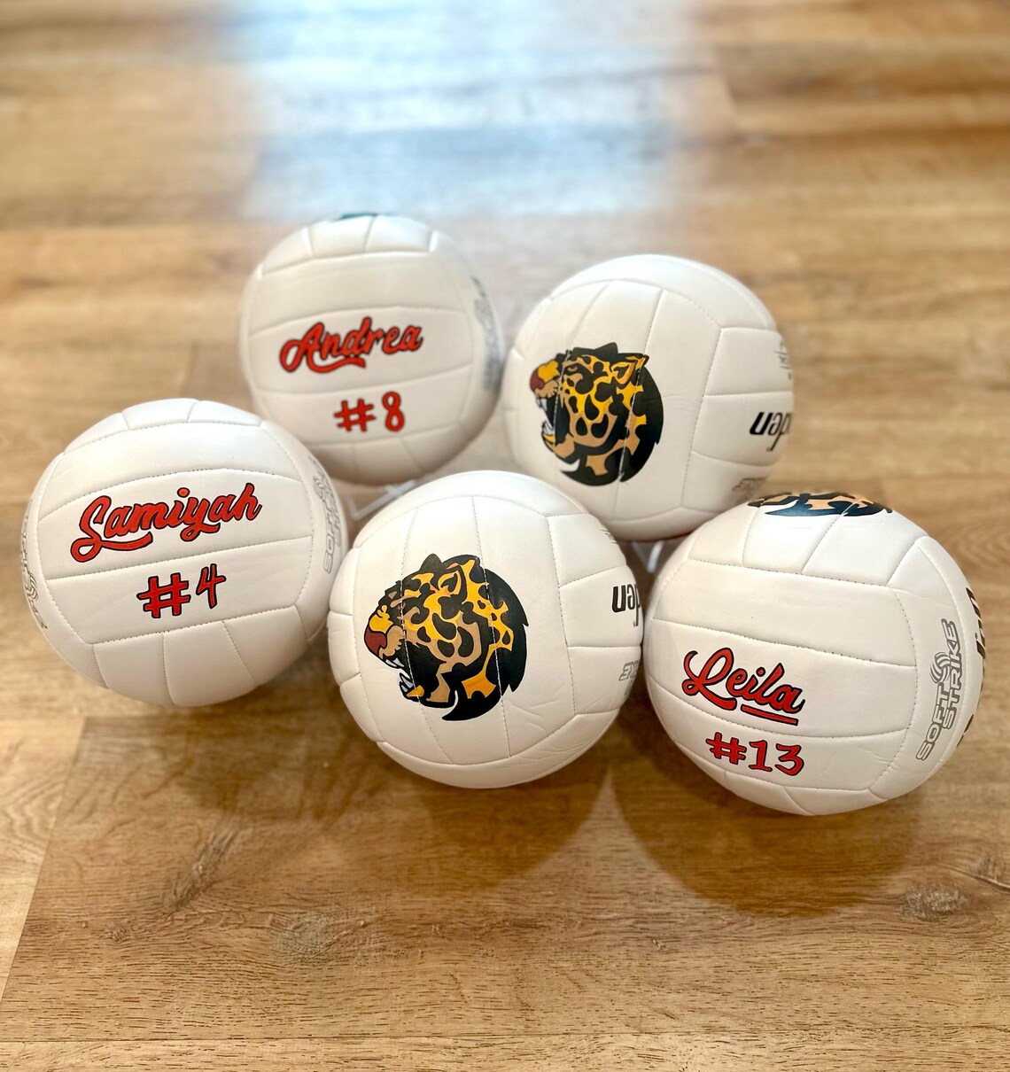 Custom Painted Volleyballs - Etsy